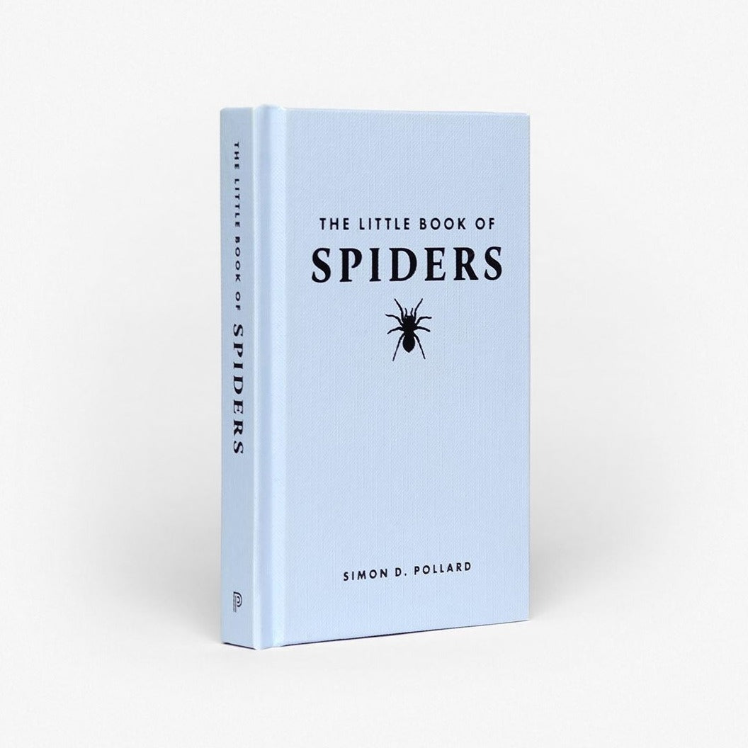 Little Book of Spiders – COMPTON VERNEY SHOP